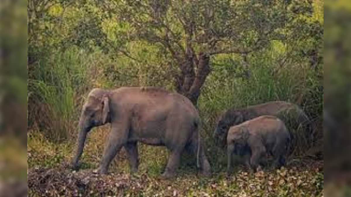 Following Kerala's Tragic Incident, Man in Bihar Donates His Entire ...