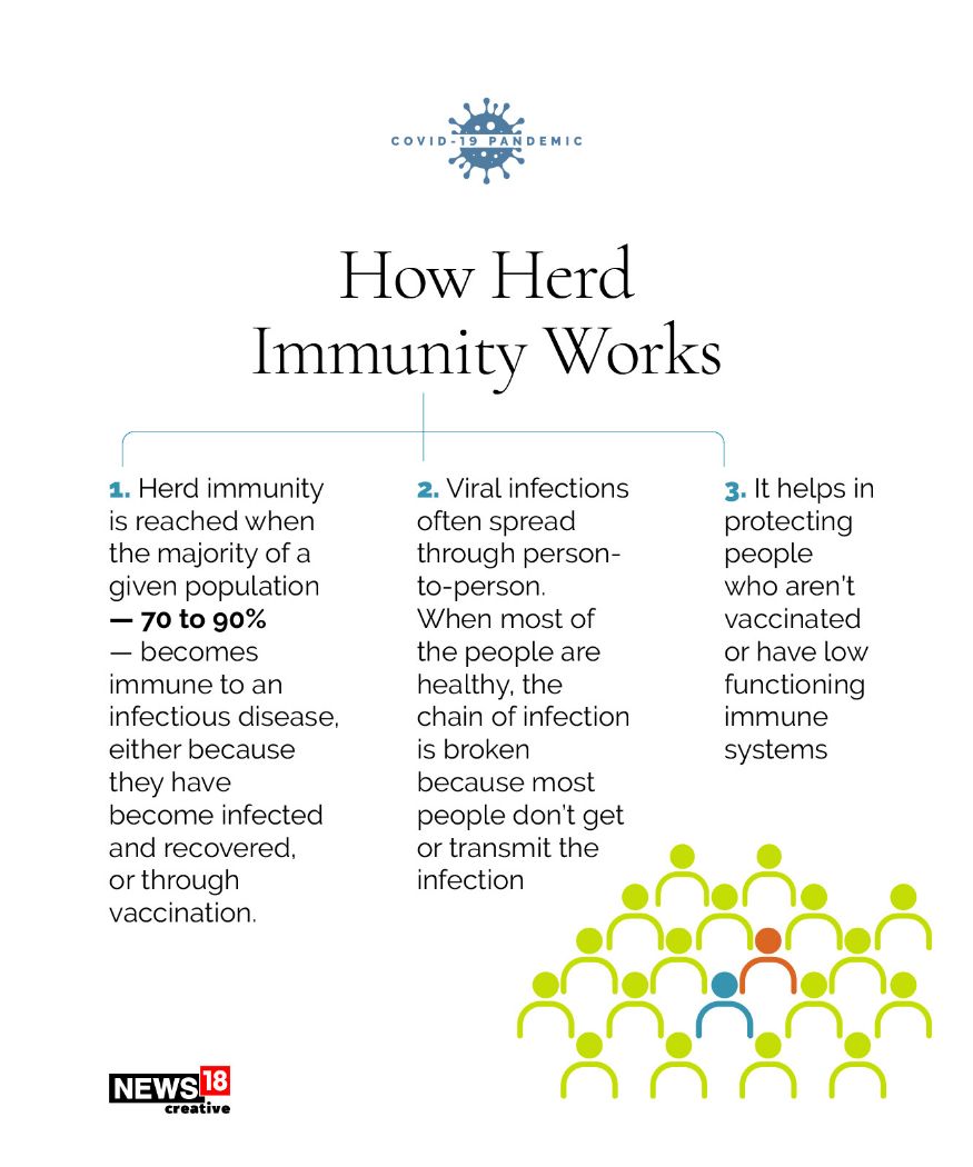What Is Herd Immunity? And How Does It Work? - Explained! - News18