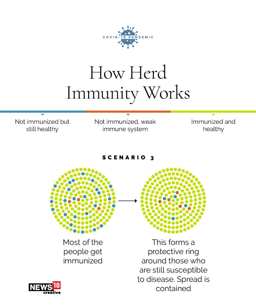 What Is Herd Immunity? And How Does It Work? - Explained! - News18
