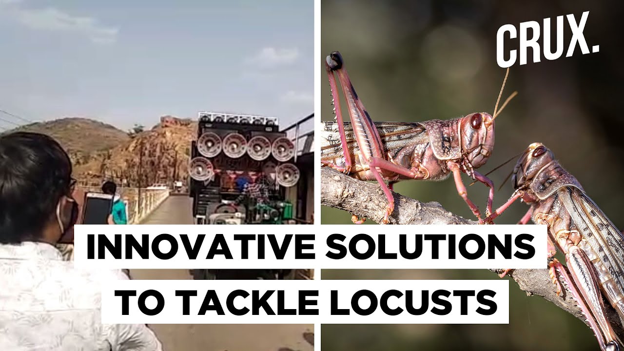 From Blasting DJs To Using Drones: How Farmers are Fighting the Locust ...