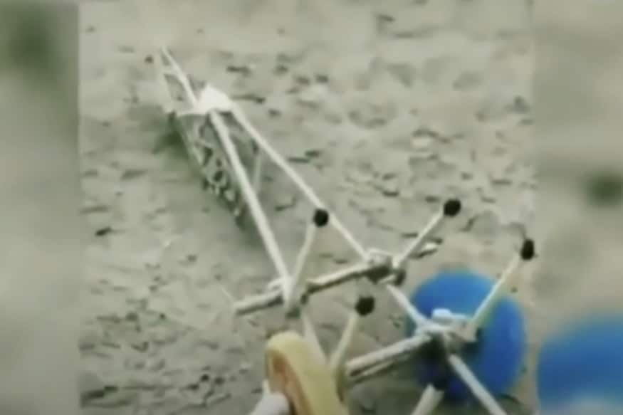 WATCH: Man Makes Locust Pay for Eating His Crops in This Viral Video