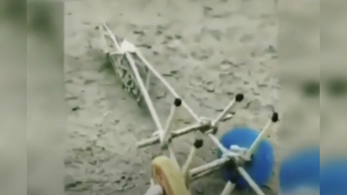 WATCH: Man Makes Locust Pay for Eating His Crops in This Viral Video