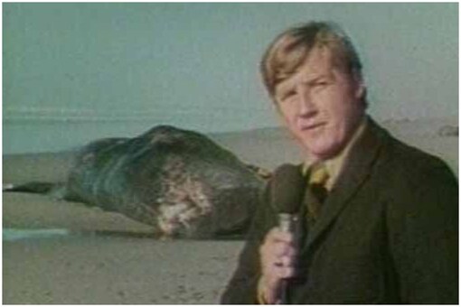 Exploding Whale Memorial Park to Honour Blubber That Was Blown to Bits ...