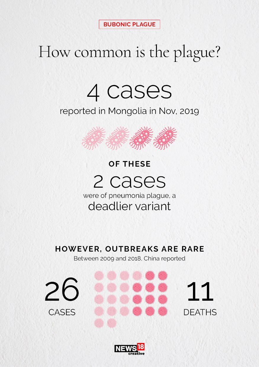 Bubonic Plague: All You Need to Know About the Deadly Disease - News18