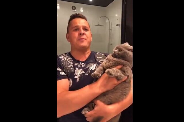 This Cat's Shocked Expression on its Parent's Opera Singing Attempt is ...