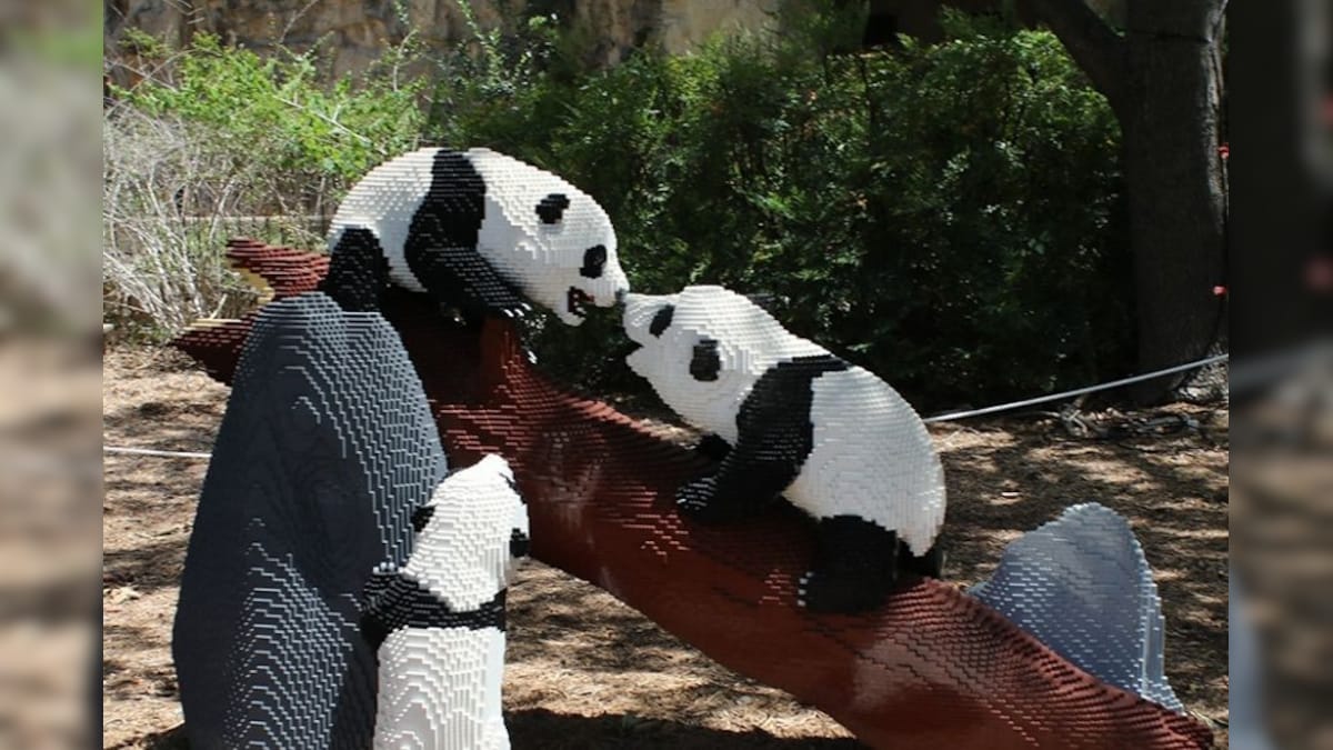Life-size LEGO Pandas Find a New Home in US Zoo, Took Over 400 Hours to ...