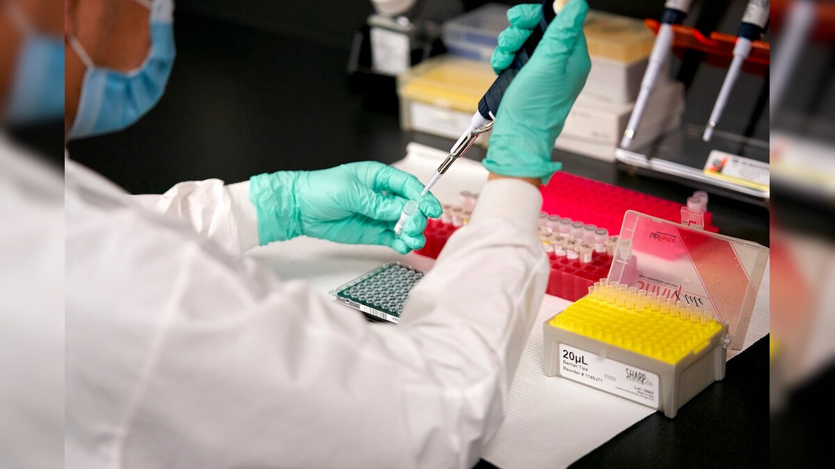 The US Has More Covid-19 Testing Than Most. So Why is it Falling so ...