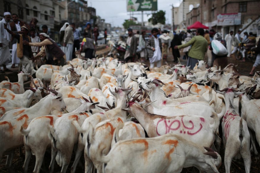 Eid Al Adha 2020: Muslims Around The World Gear Up To Celebrate The ...