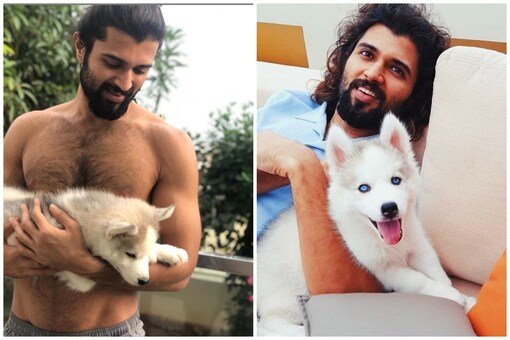 Vijay Deverakonda Poses Shirtless with His 'Cute Beast' Storm, Fans ...