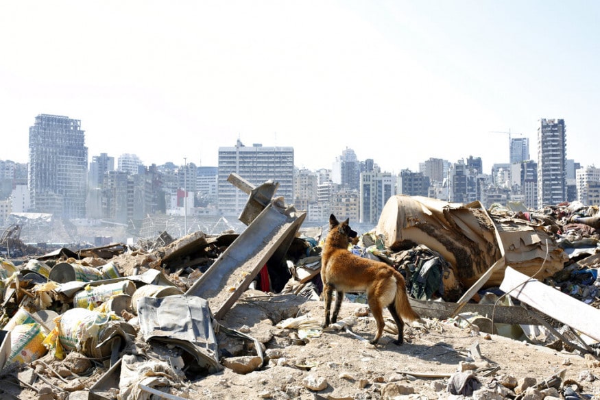 Beirut Blast: The Aftermath of the Lebanon Explosion - In Pics - News18