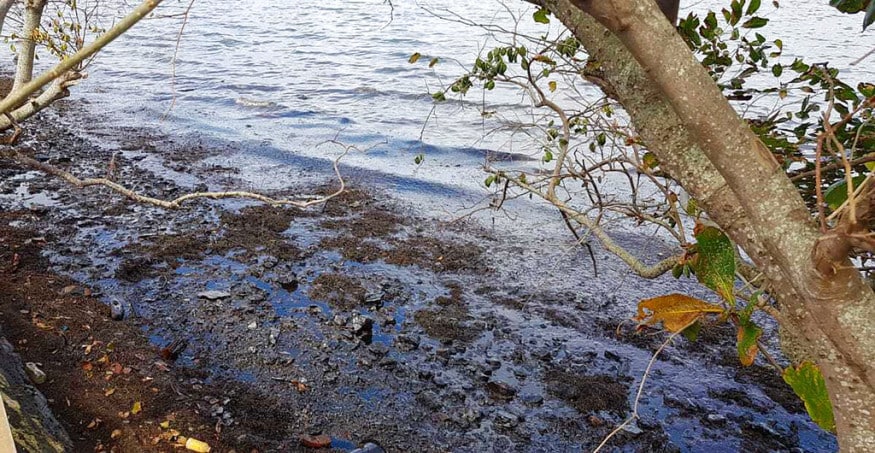 Mauritius Oil Spill in the Indian Ocean: Clean-up Ops in Full Swing ...