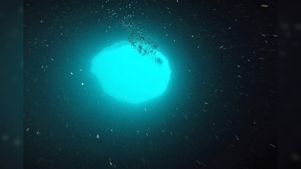 What's in a Blue Hole? 'Green Banana' Hole in Florida Offers Clues to ...