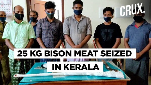 Animal Cruelty News: Latest Animal Cruelty News and Updates at News18