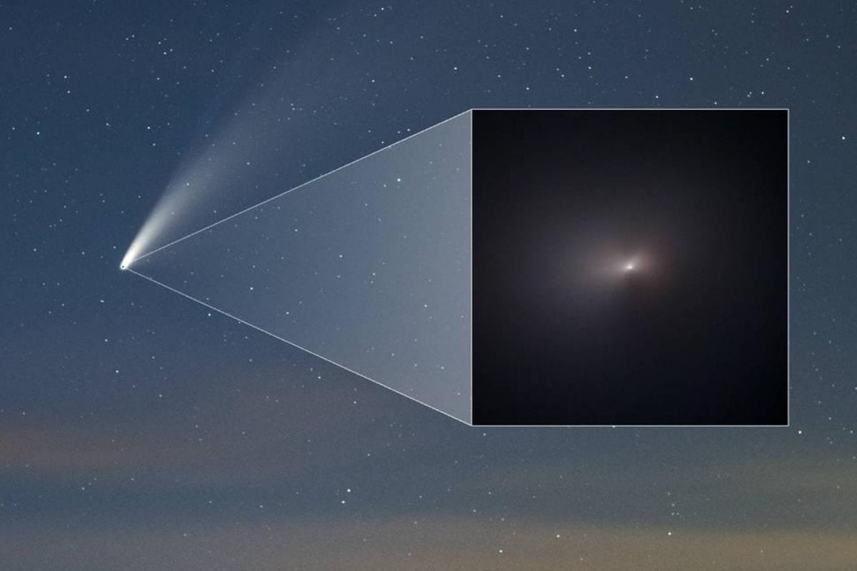 NASA Captures Close-up Shot of NEOWISE Comet's Coma in Incredible Photo