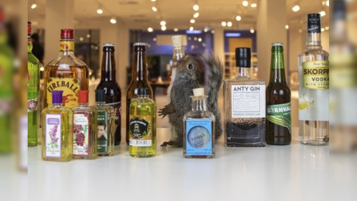 Swedish Museum of Disgusting Foods Adds Poop Wine and Spit Brews to its ...