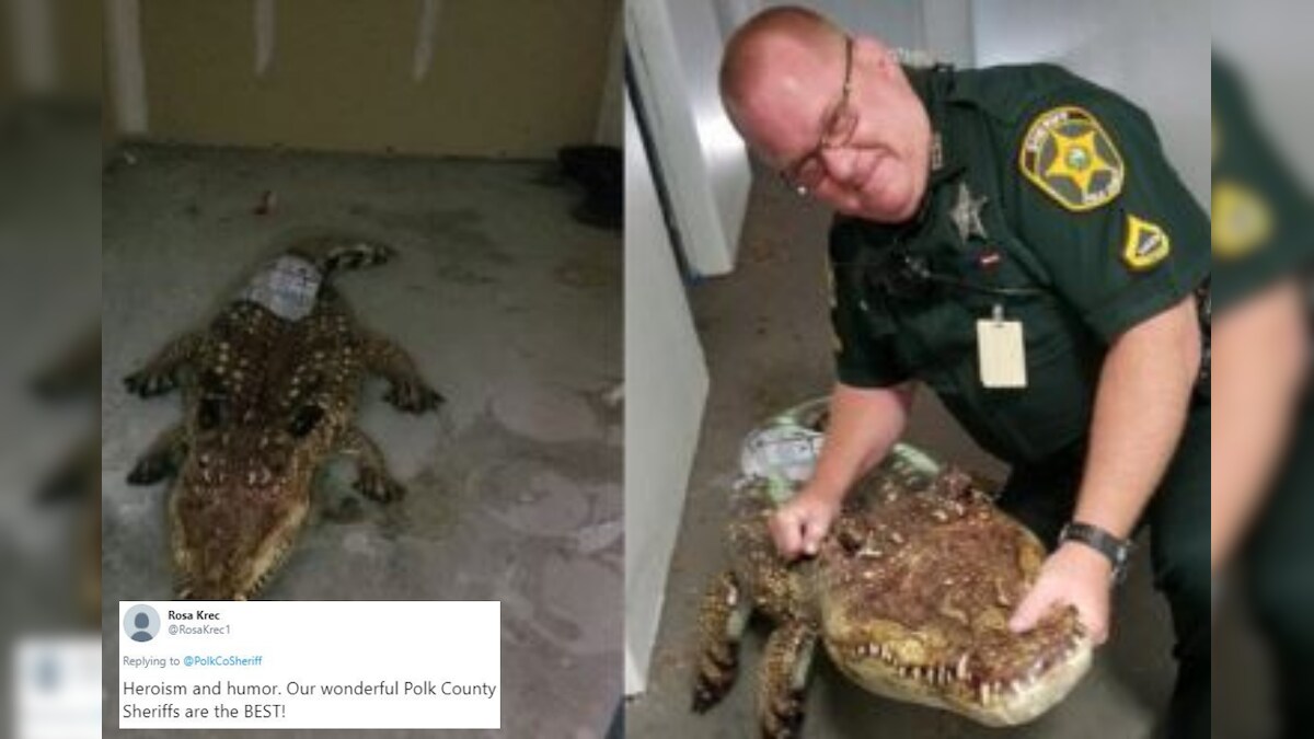 Florida Woman Calls 911 after She Sees an Alligator in Her Garage ...