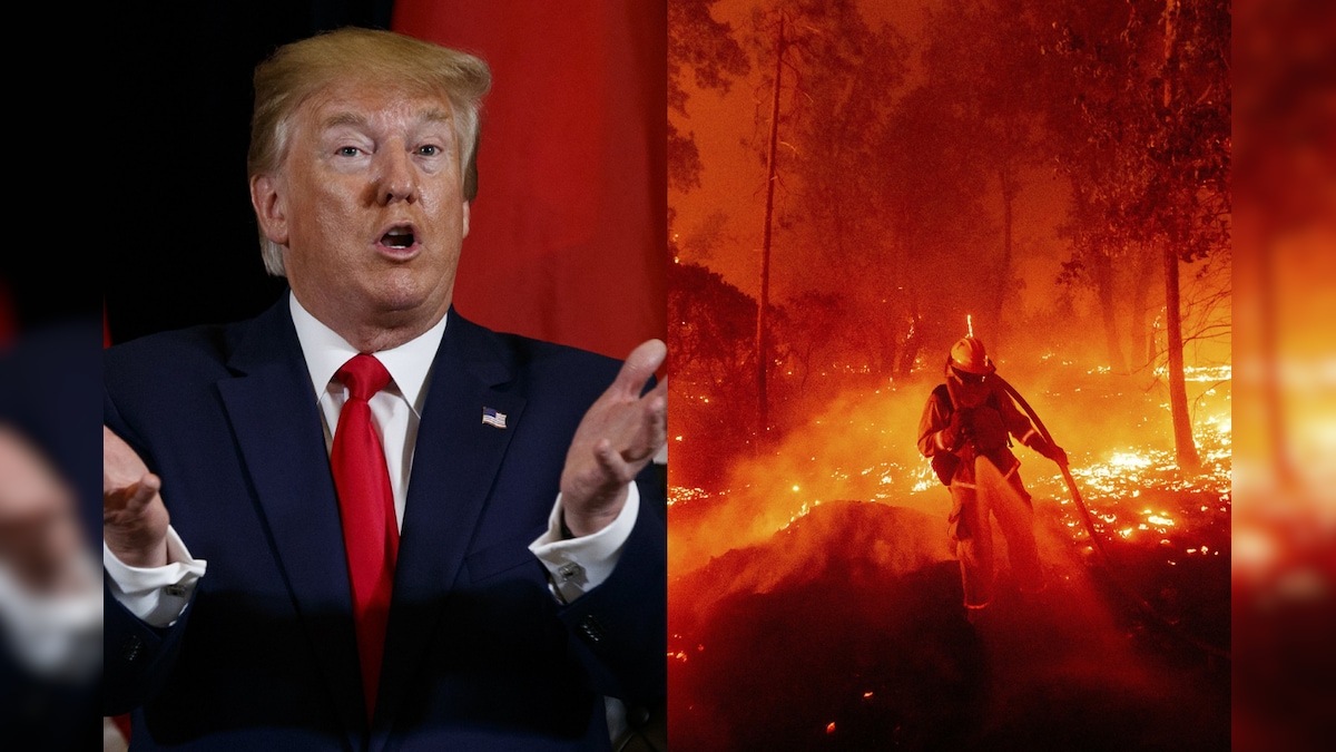 Donald Trump Thinks the US Wildfires Started Because Trees 'Just ...