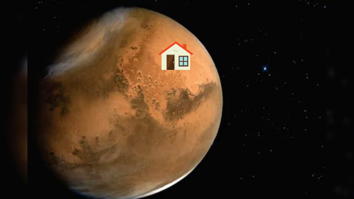 Fish Scales and Fungi Could Help Mankind Build Houses on Mars. Martian ...