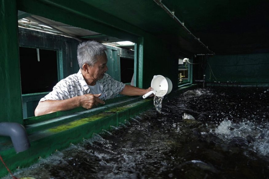 Shipping Containers Find New Life, Used to Raise Crops & Fish Farming ...