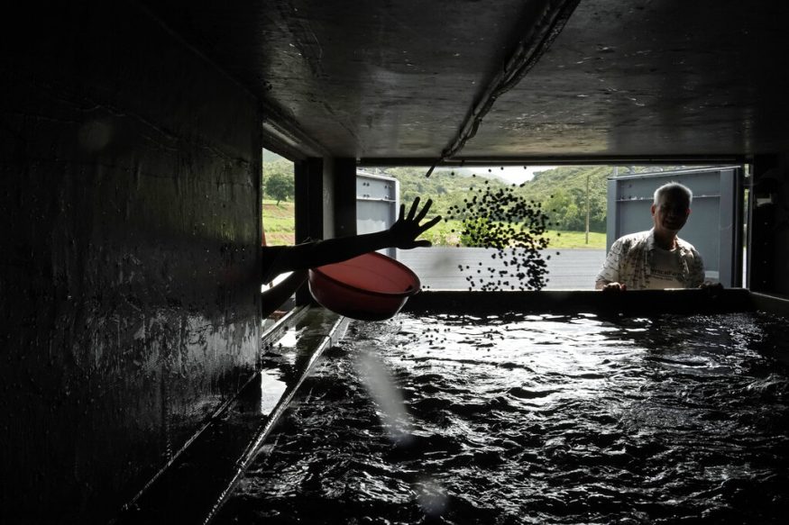 Shipping Containers Find New Life, Used to Raise Crops & Fish Farming ...