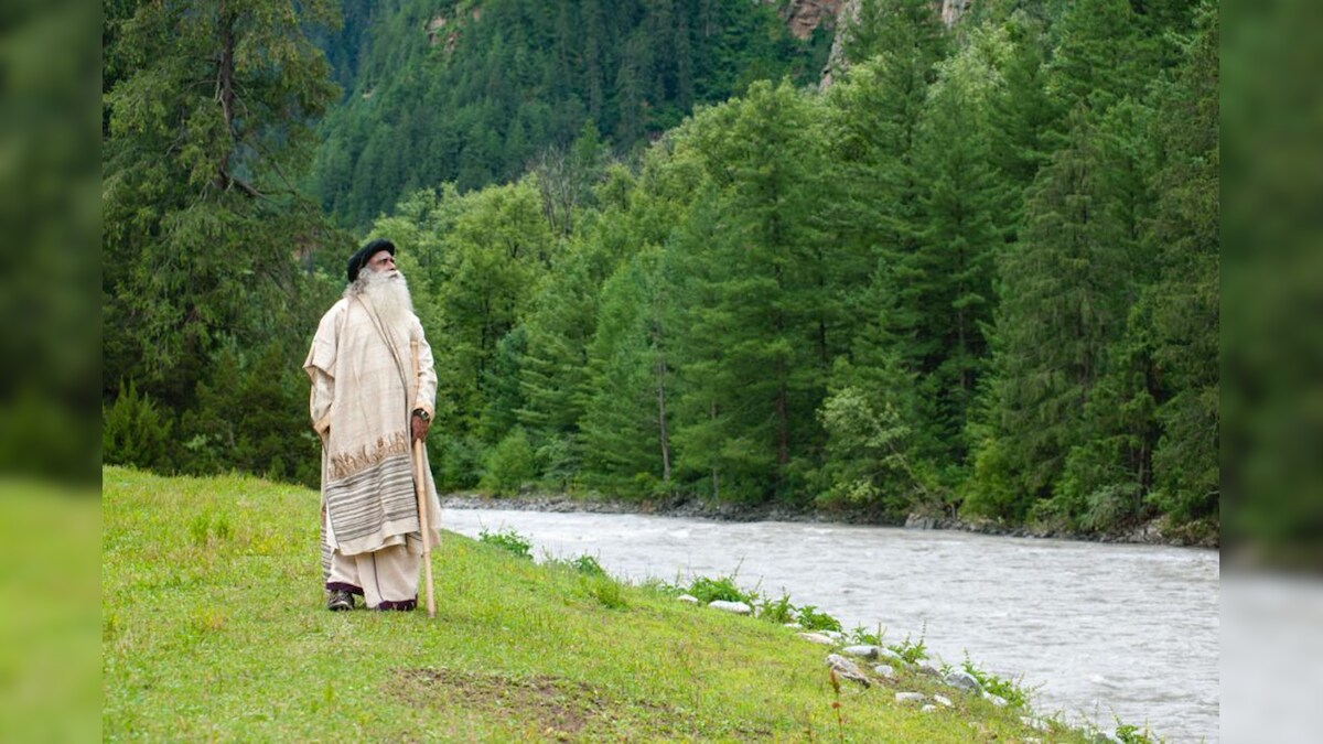 Why Rivers Need Trees, Writes Sadhguru