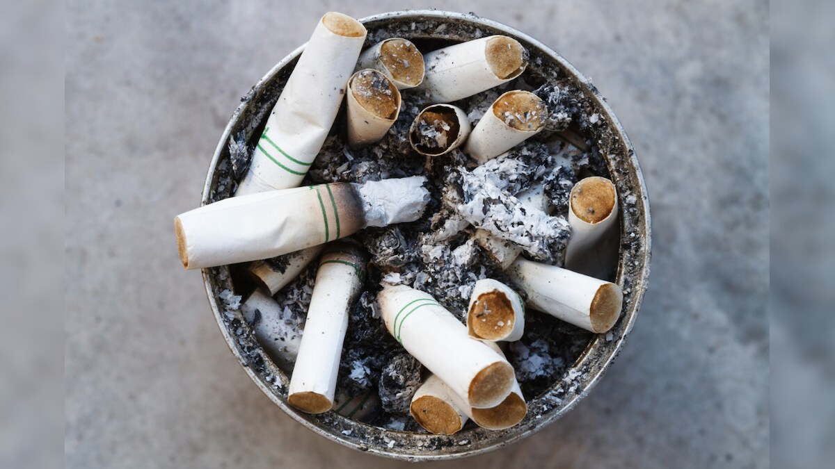 Best from Waste: Cigarette Butts Could Soon Be Used in Bricks to Build ...