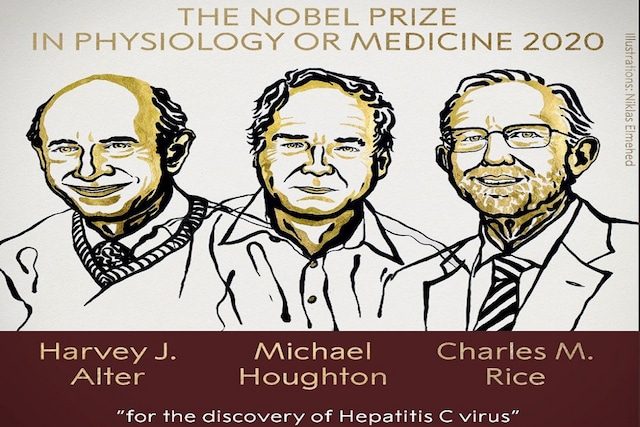 Nobel Prize in Medicine 2020: Why was the Discovery of Hepatitis C ...