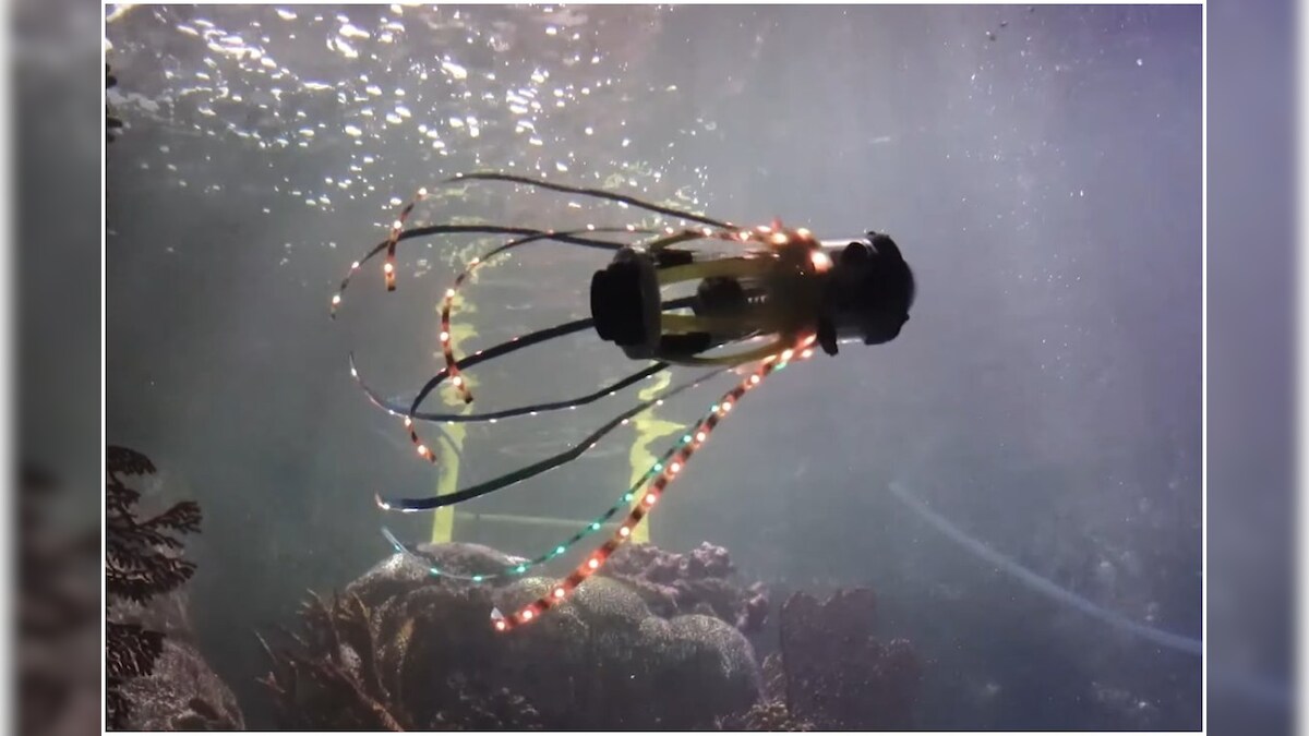 Inspired by Squids, Researchers Develop 'Squidbot' to Probe Deeper ...