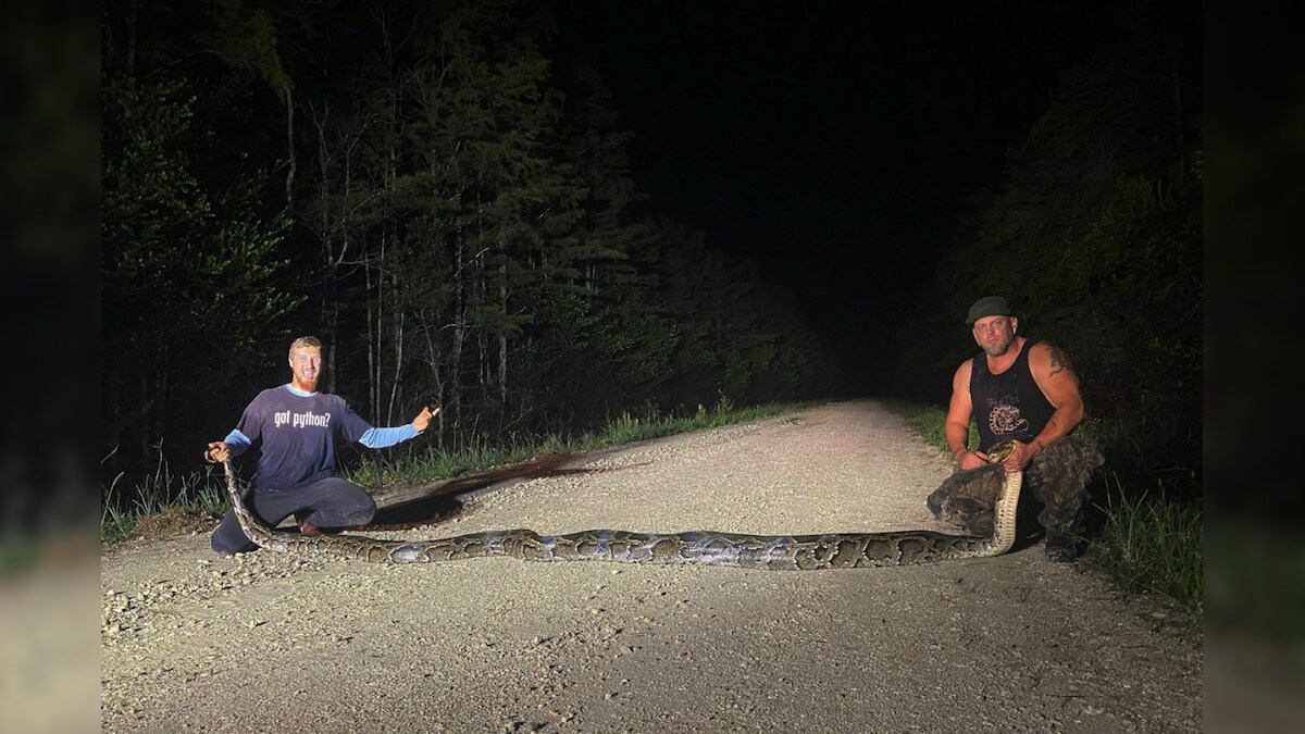 Hunters Catch Record Breaking 18-Feet-Long Python Weighing 47 Kgs - News18