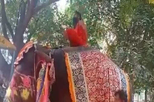 WATCH: Baba Ramdev Falls Off Elephant While Trying to Perform Yoga ...