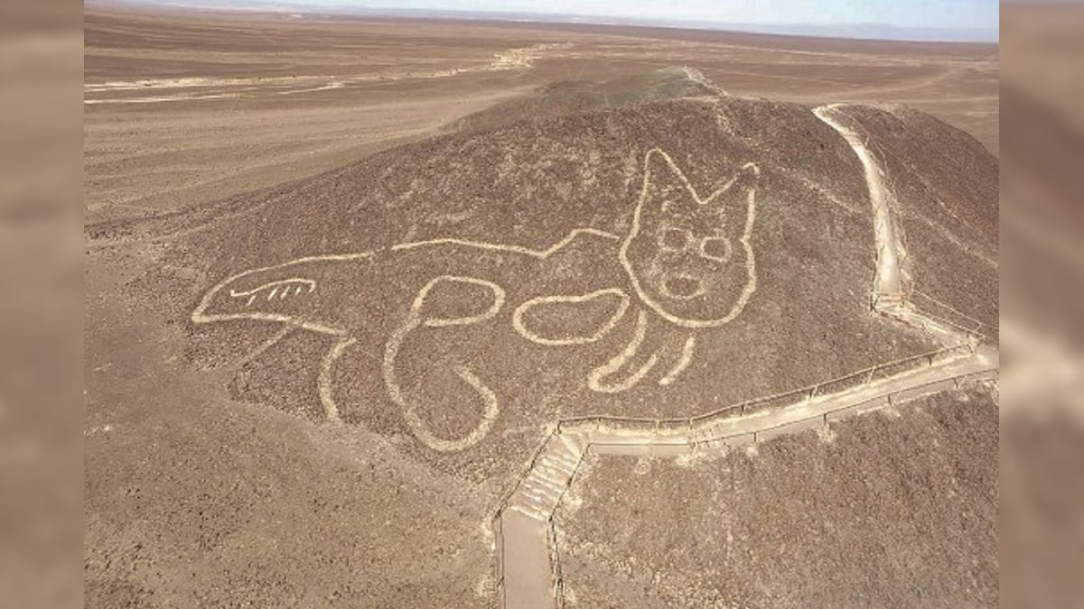 Peru Unveils 2,000-year-old Giant Cat Etching at Famous Nazca Site