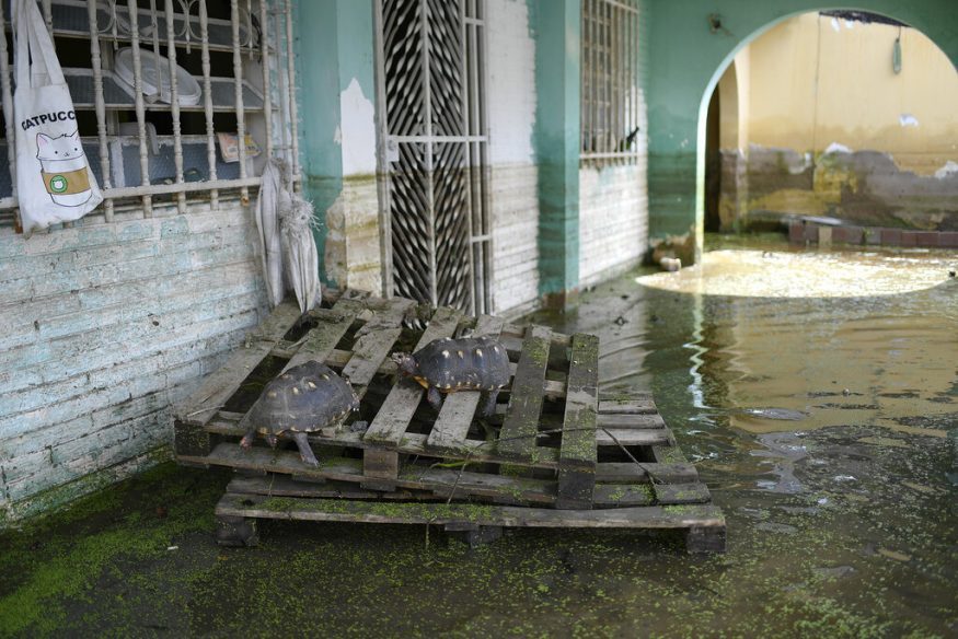 Incessant Rains in Venezuela Cause Massive Flooding; See Pics - News18
