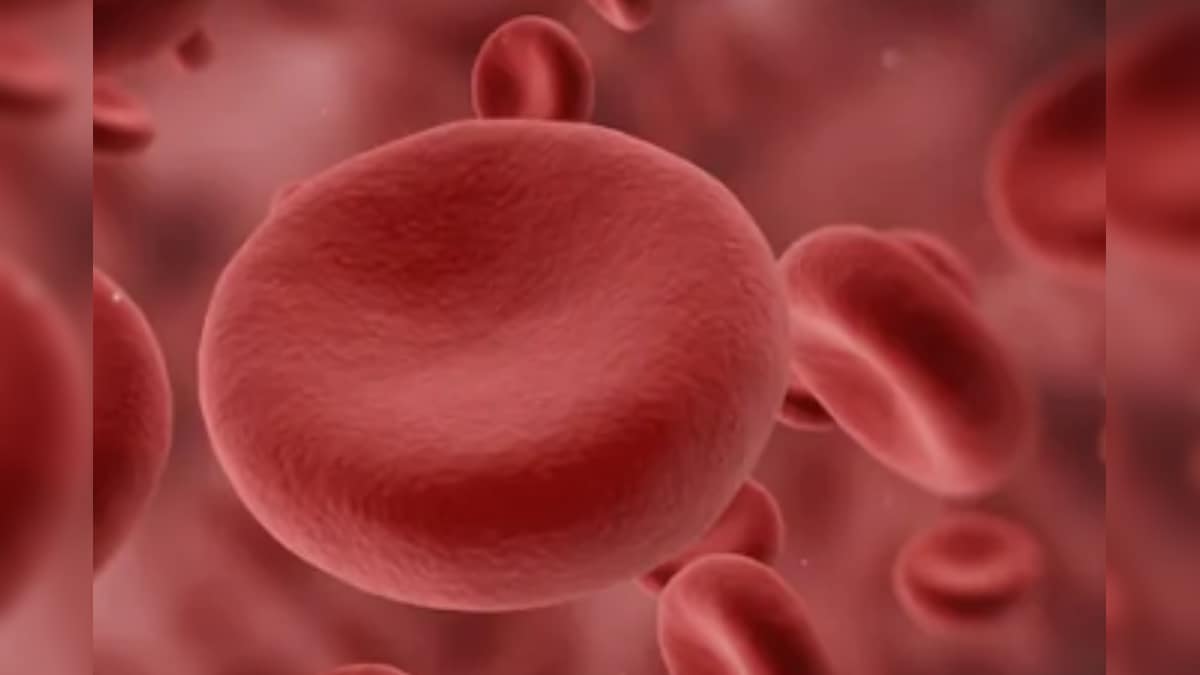 First Cells on Earth Could Have Made Specialised Bubble-like ...