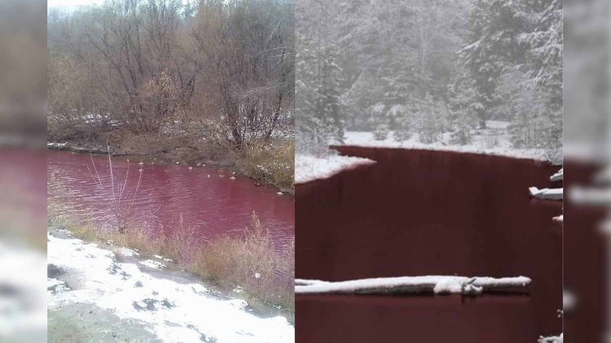 Russian River Water Turns Red, Authorities Probing 'Mysterious ...