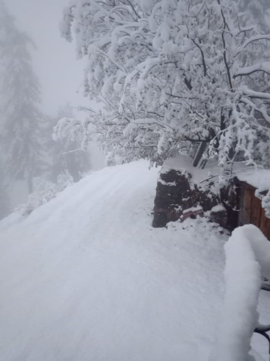 PICS: Manali, Kufri in Himachal Get Season's First Snowfall, Brings ...