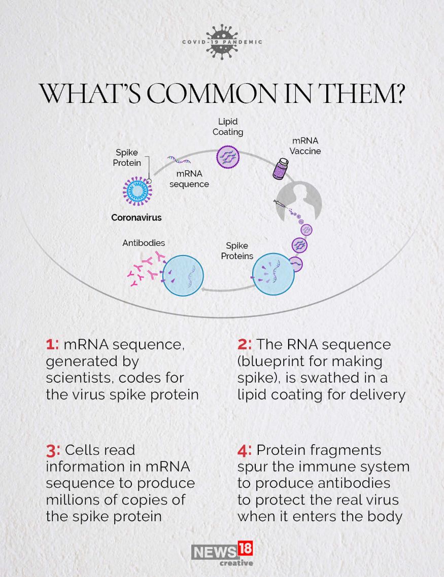 Pfizer & Moderna COVID-19 Vaccines: Key Things to Know About ...