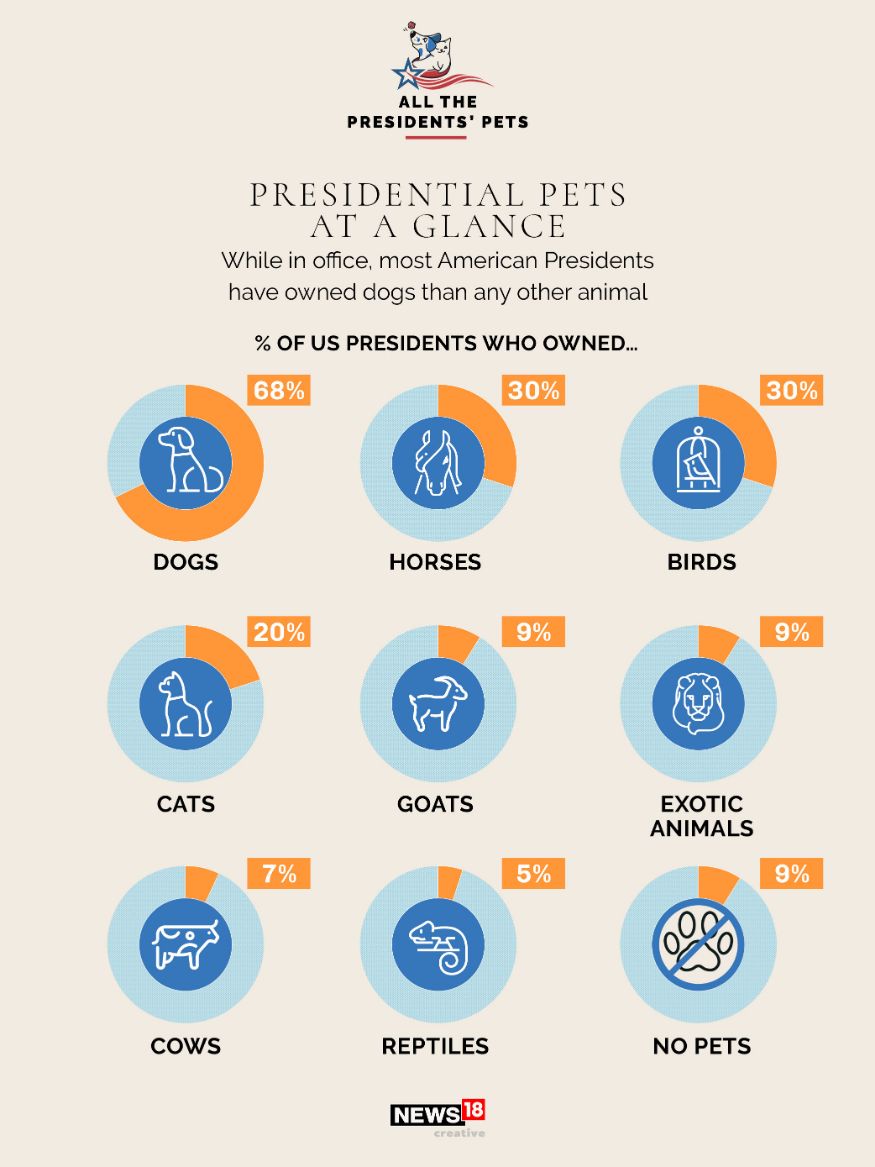 US Presidents & Their Pets: A Look Back at Presidential Pets Throughout ...