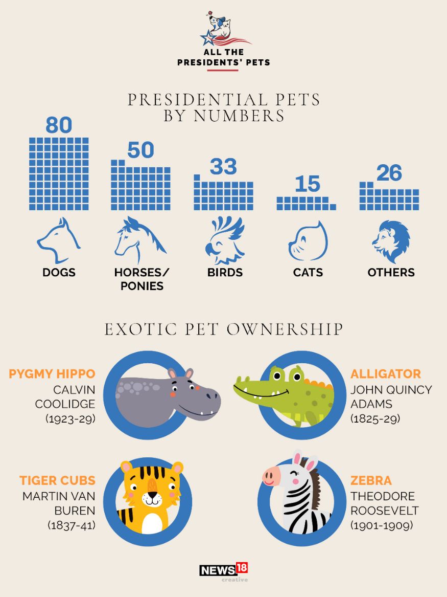 US Presidents & Their Pets: A Look Back at Presidential Pets Throughout ...