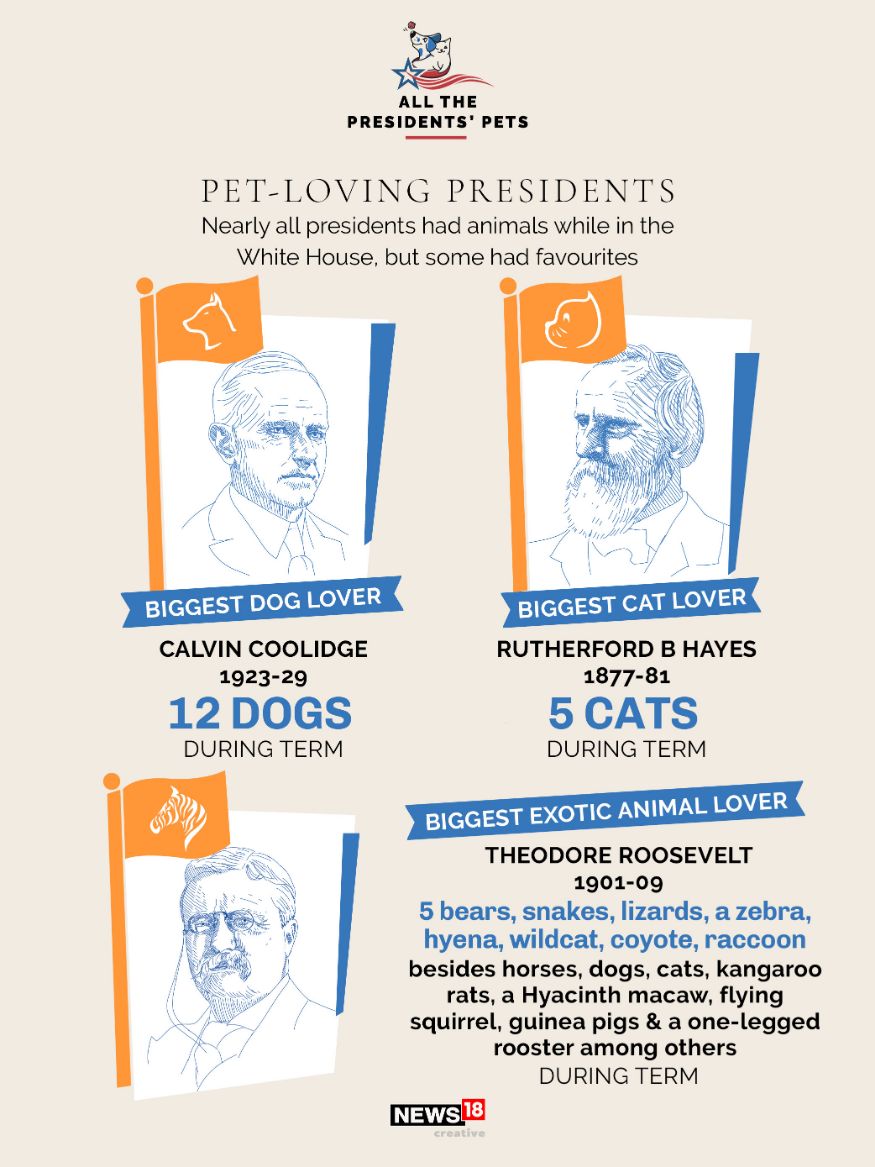 US Presidents & Their Pets: A Look Back at Presidential Pets Throughout ...