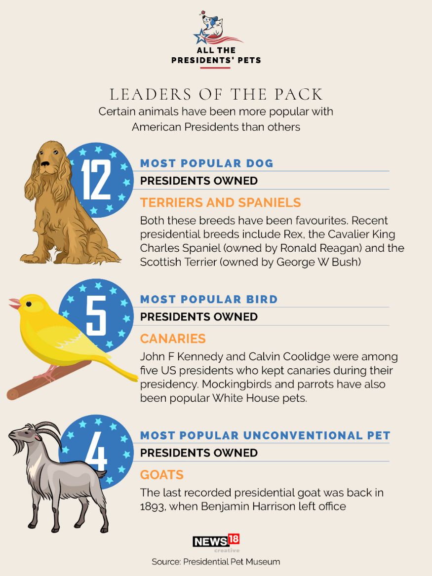 US Presidents & Their Pets: A Look Back at Presidential Pets Throughout ...