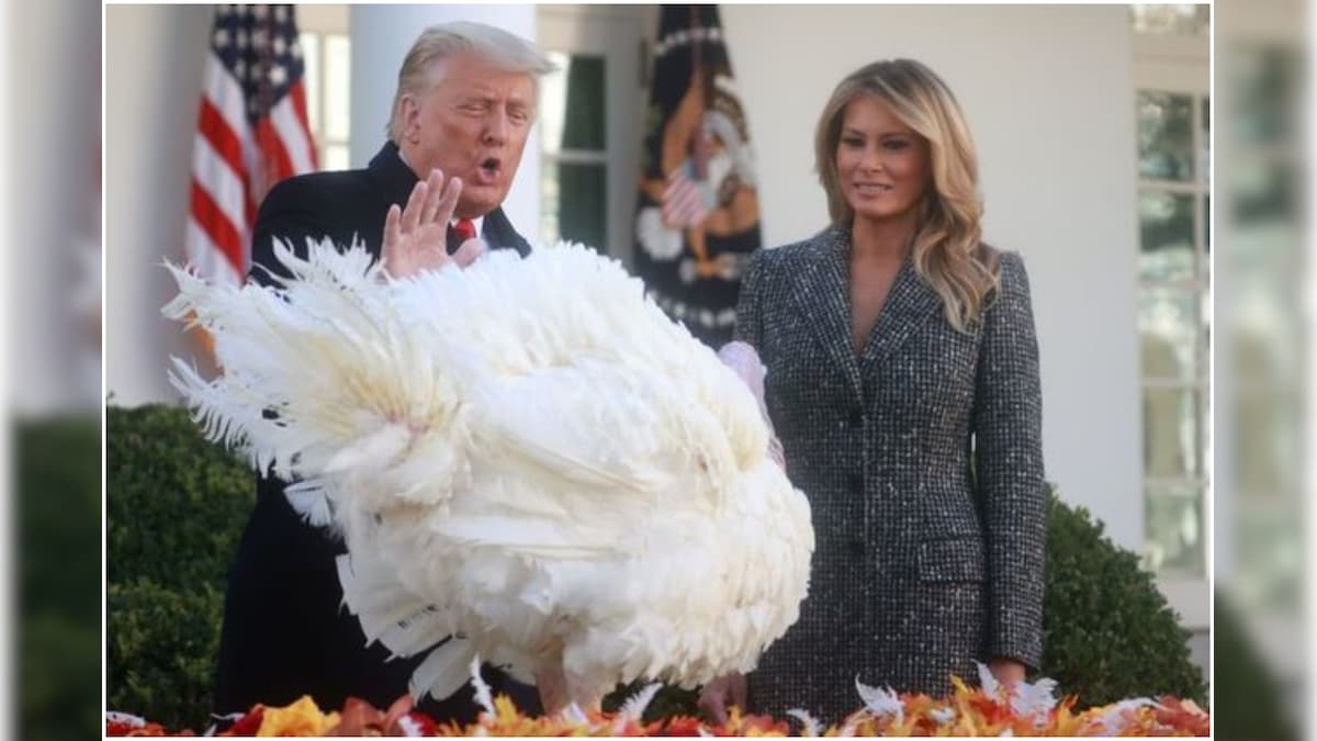 Donald Trump Just Pardoned Corn and Cob in What May be His Last ...