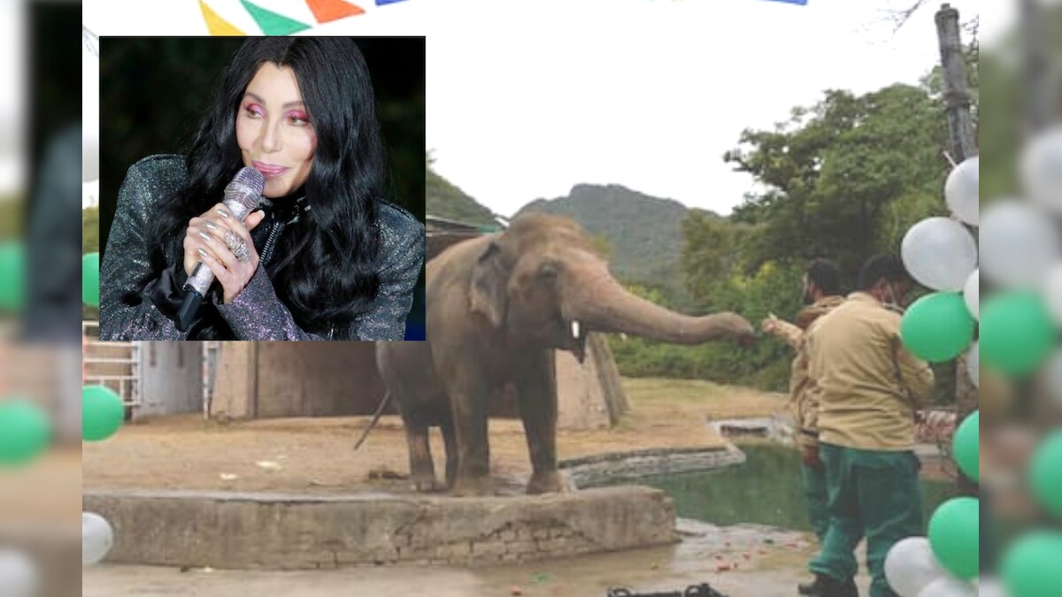 Pop Icon Cher Arrives in Pakistan to Help World's 'Loneliest Elephant ...