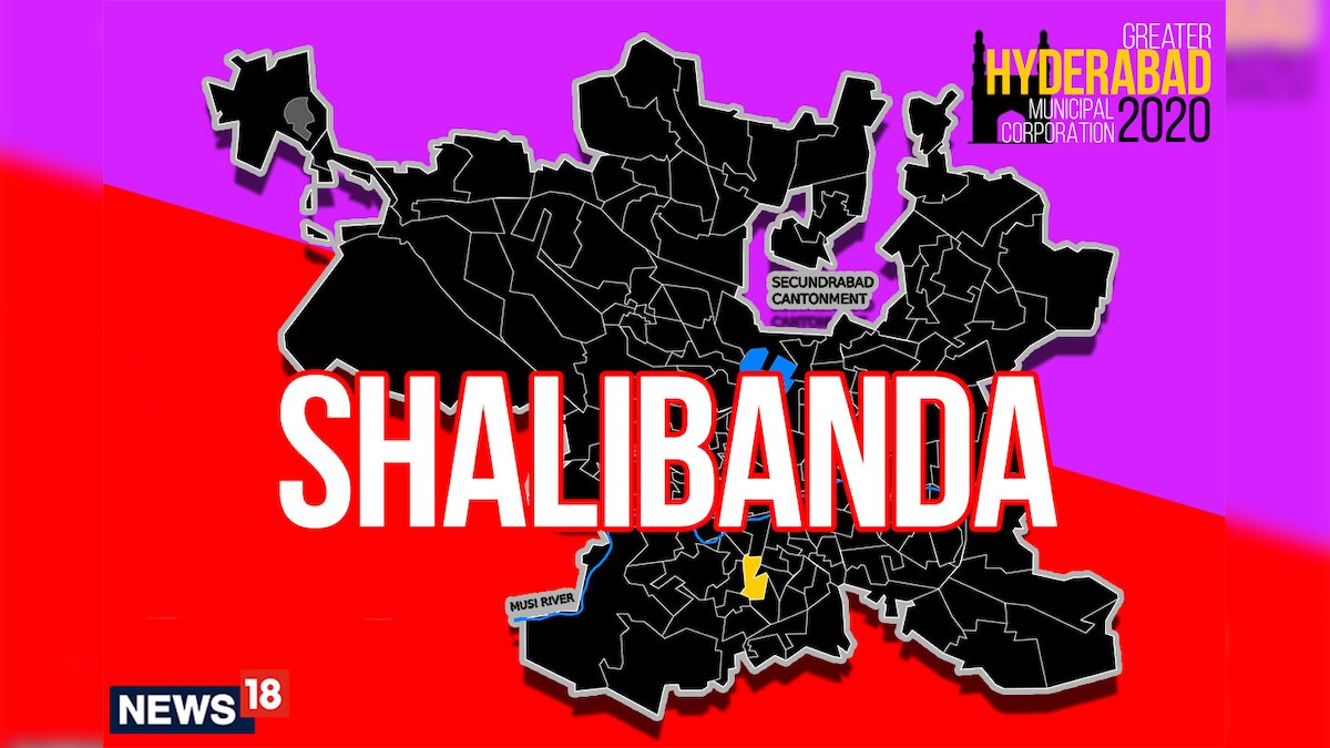 Shalibanda Election Result 2020 Live Updates: AIMIM Wins Shalibanda ...