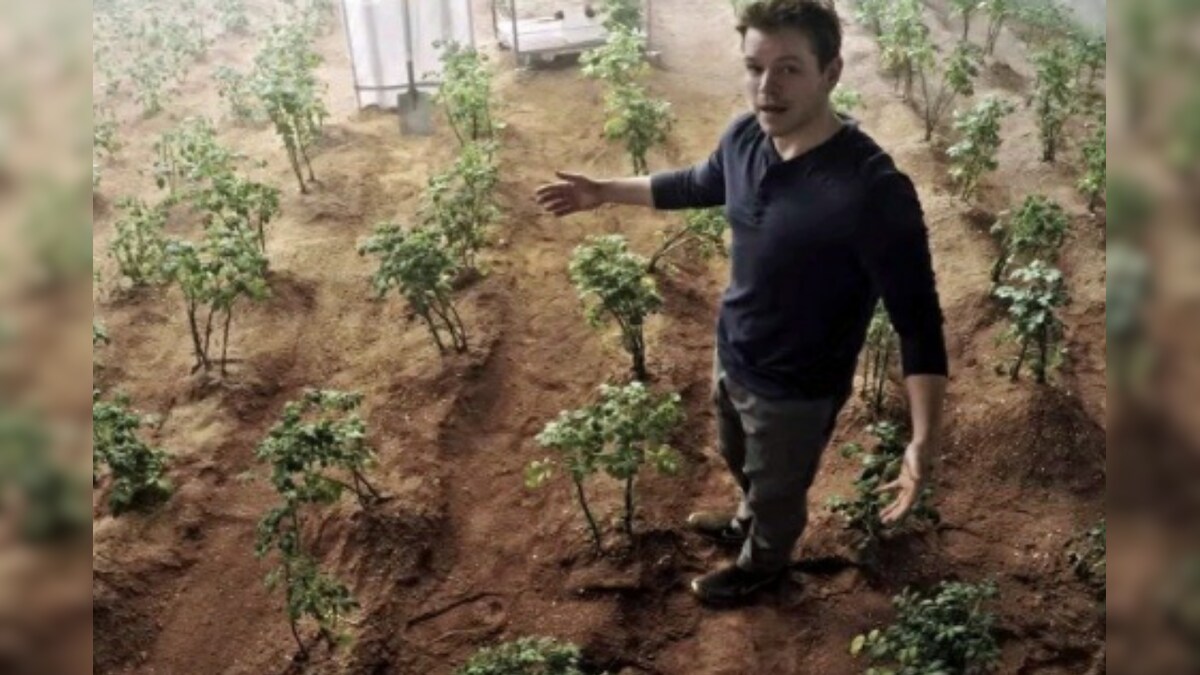 NASA is Growing Radish in Space as Humans Take One Giant Leap Towards ...