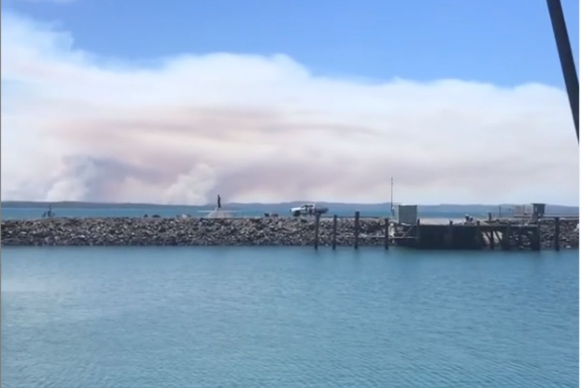 Watch: Footage of 'Wall of Smoke' Goes Viral as Australia Bushfire Rips ...