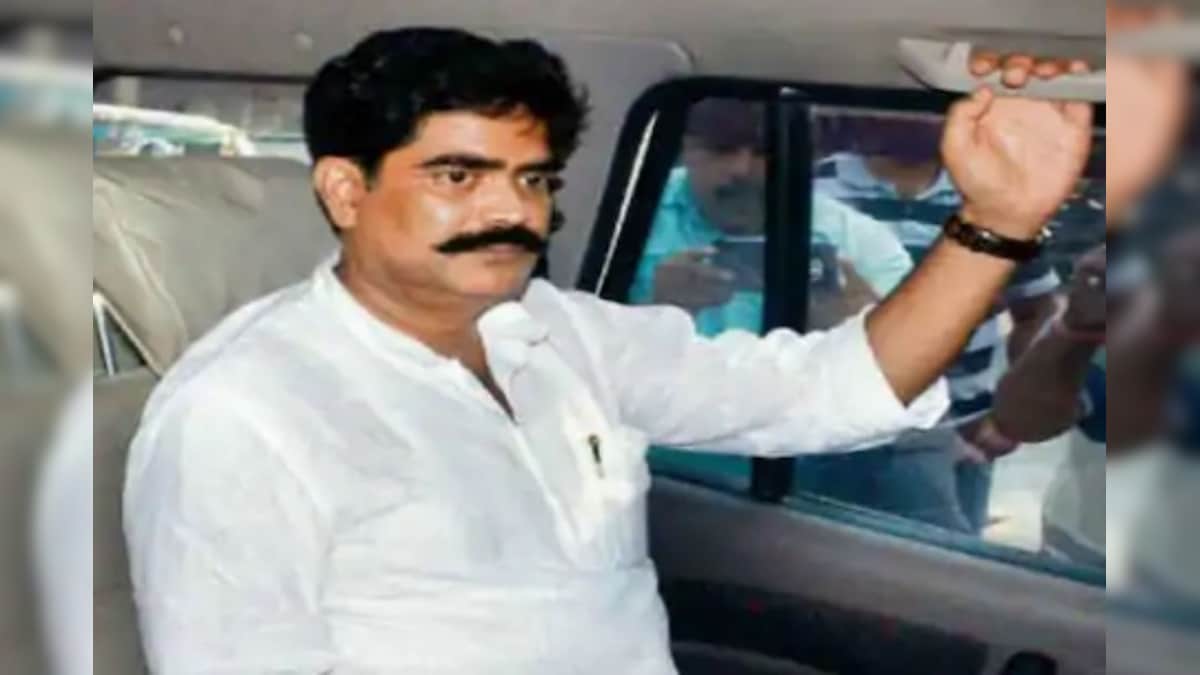 HC Grants Custody Parole to Jailed Former Bihar MP Shahabuddin to Meet ...