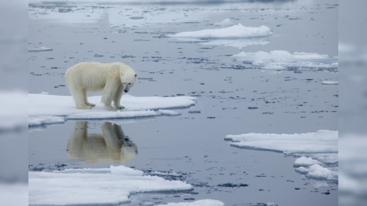 Global Warning: North Pole is Heating Up Twice as Fast as the Rest of ...
