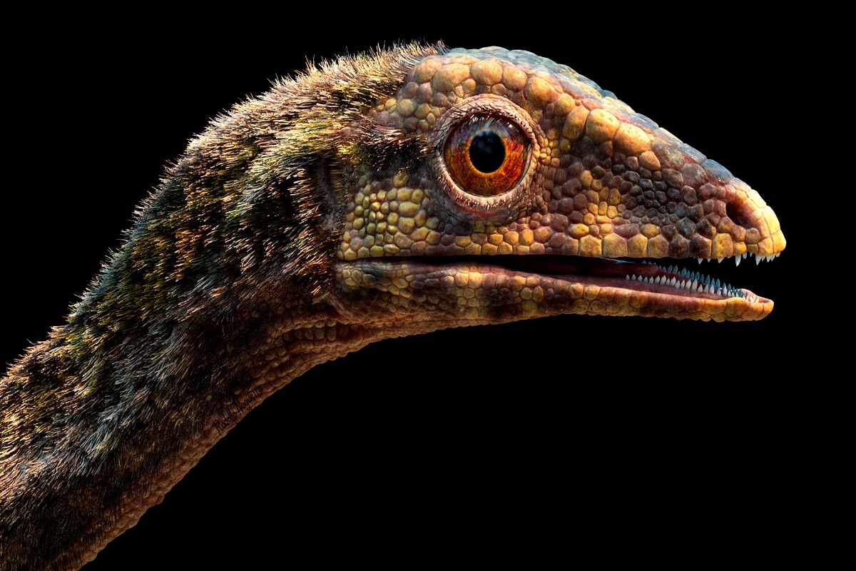 Scientists Claim Reptile Group From Triassic Period Was Precursor to ...