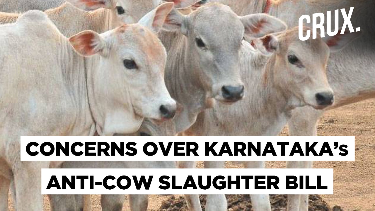 Why Is The Opposition Calling Karnataka’s Anti-Cow Slaughter Bill ...