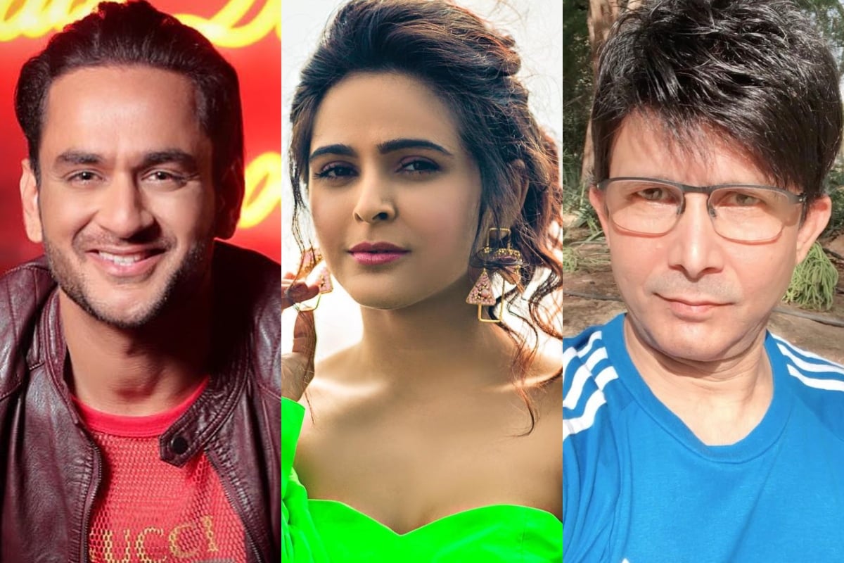 From Vikas Gupta to KRK, Housemates Who were Thrown Out of Bigg Boss ...
